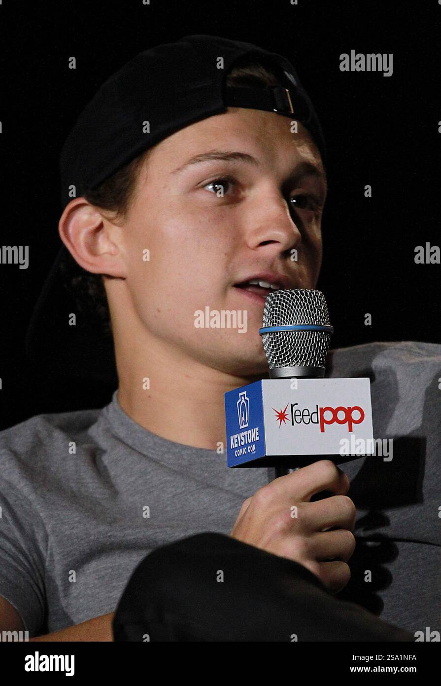 Actor Tom Holland made an appearance at the 2019 Keystone Comic Con at ...