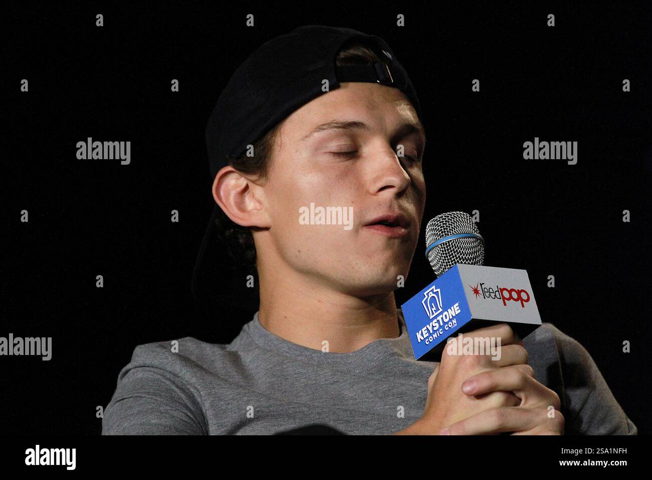 Actor Tom Holland made an appearance at the 2019 Keystone Comic Con at ...