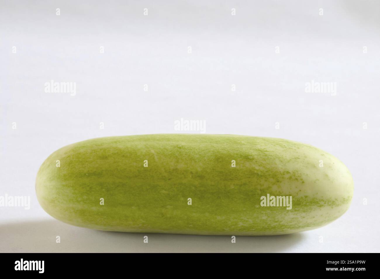 Vegetable, cucumber kakdi, India, Asia Stock Photo - Alamy