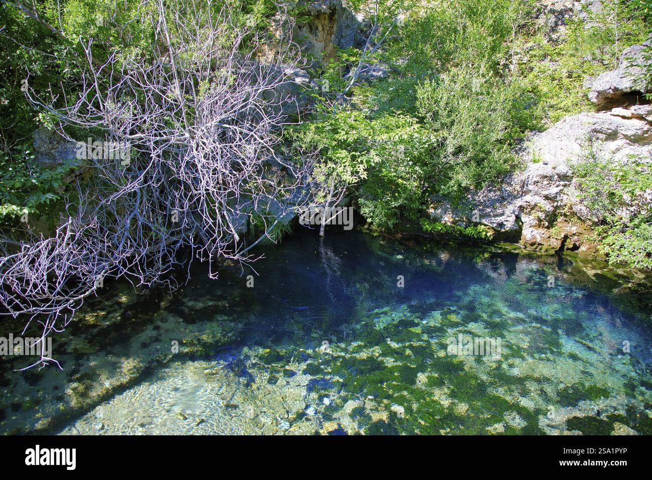 The clear spring water of the Krka, blue pond surrounded by lush ...