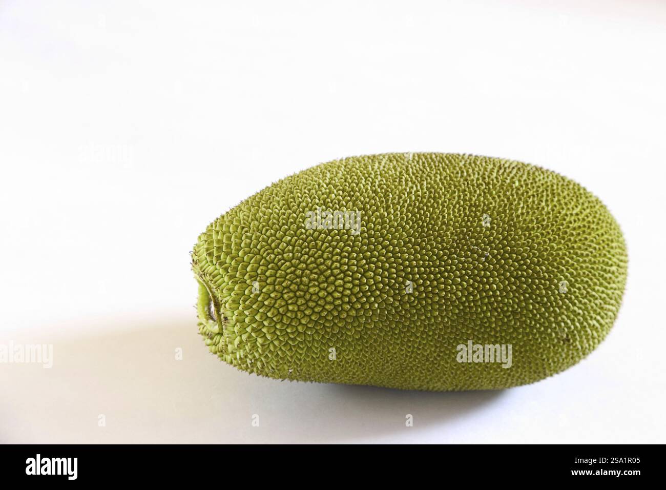 Fruit, Jackfruit Kathal phanus, India, Asia Stock Photo - Alamy