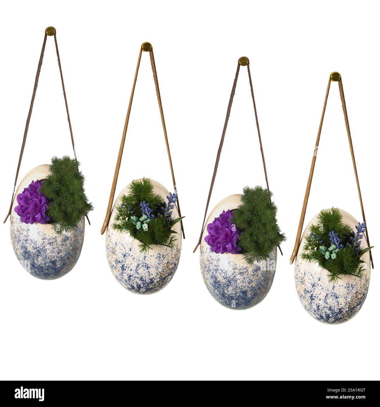 Hanging planters plants Cut Out Stock Images & Pictures - Alamy