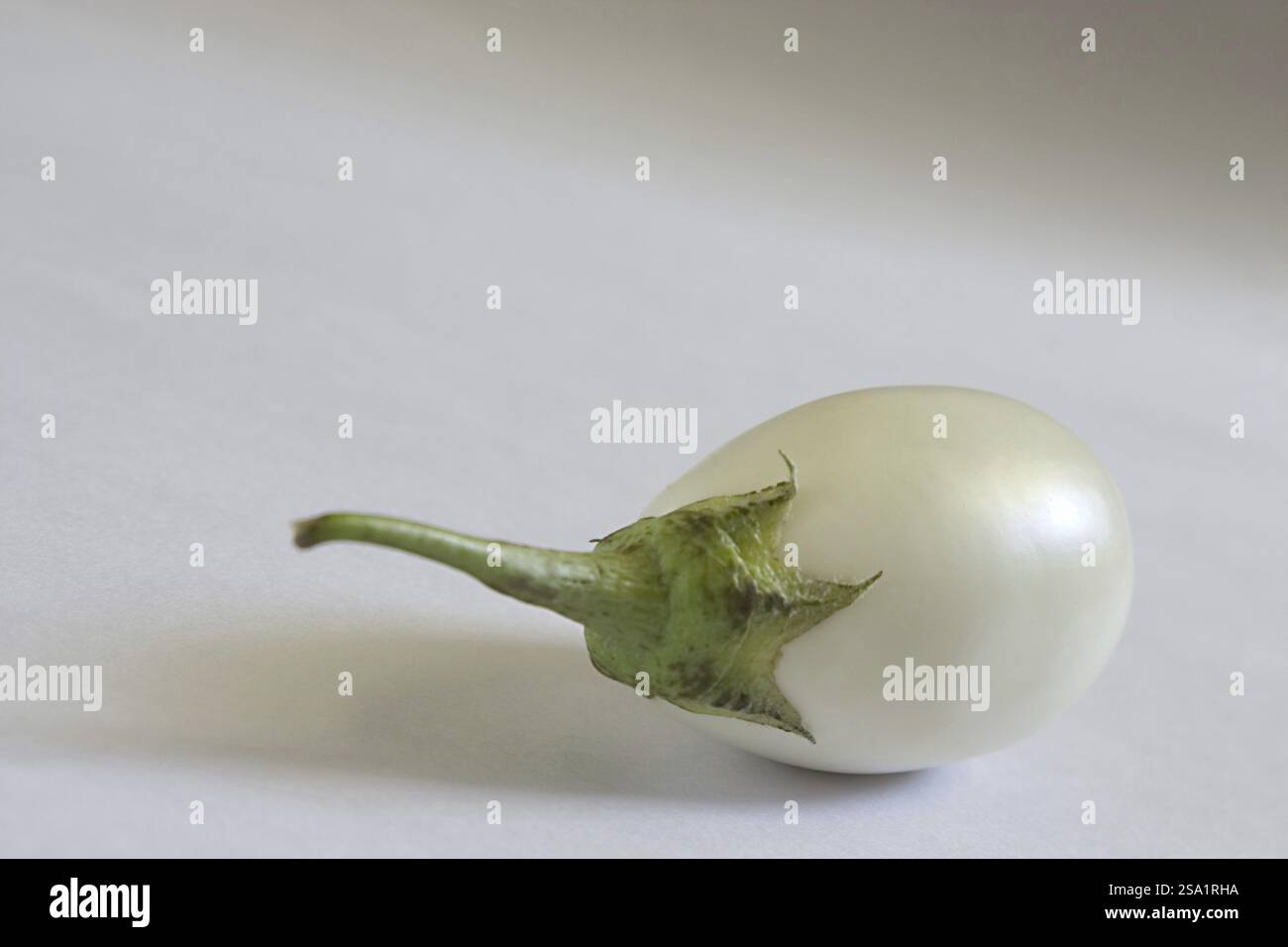 Vegetable, One White Brinjal, Baingan, Aubergines, Eggplant, India ...