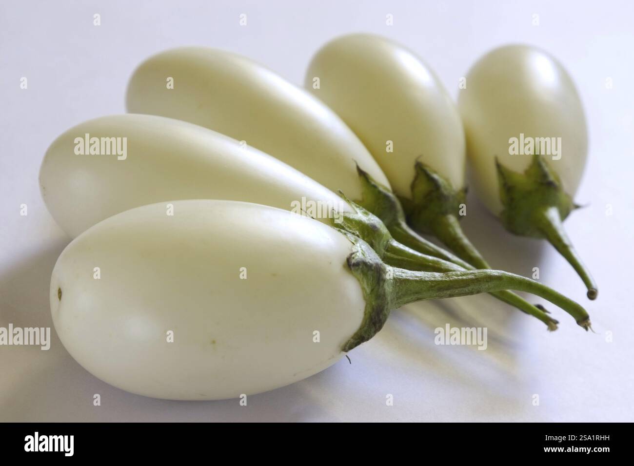 Vegetable, white, Brinjal, Baingan, Aubergines, eggplant, India, Asia Stock Photo - Alamy
