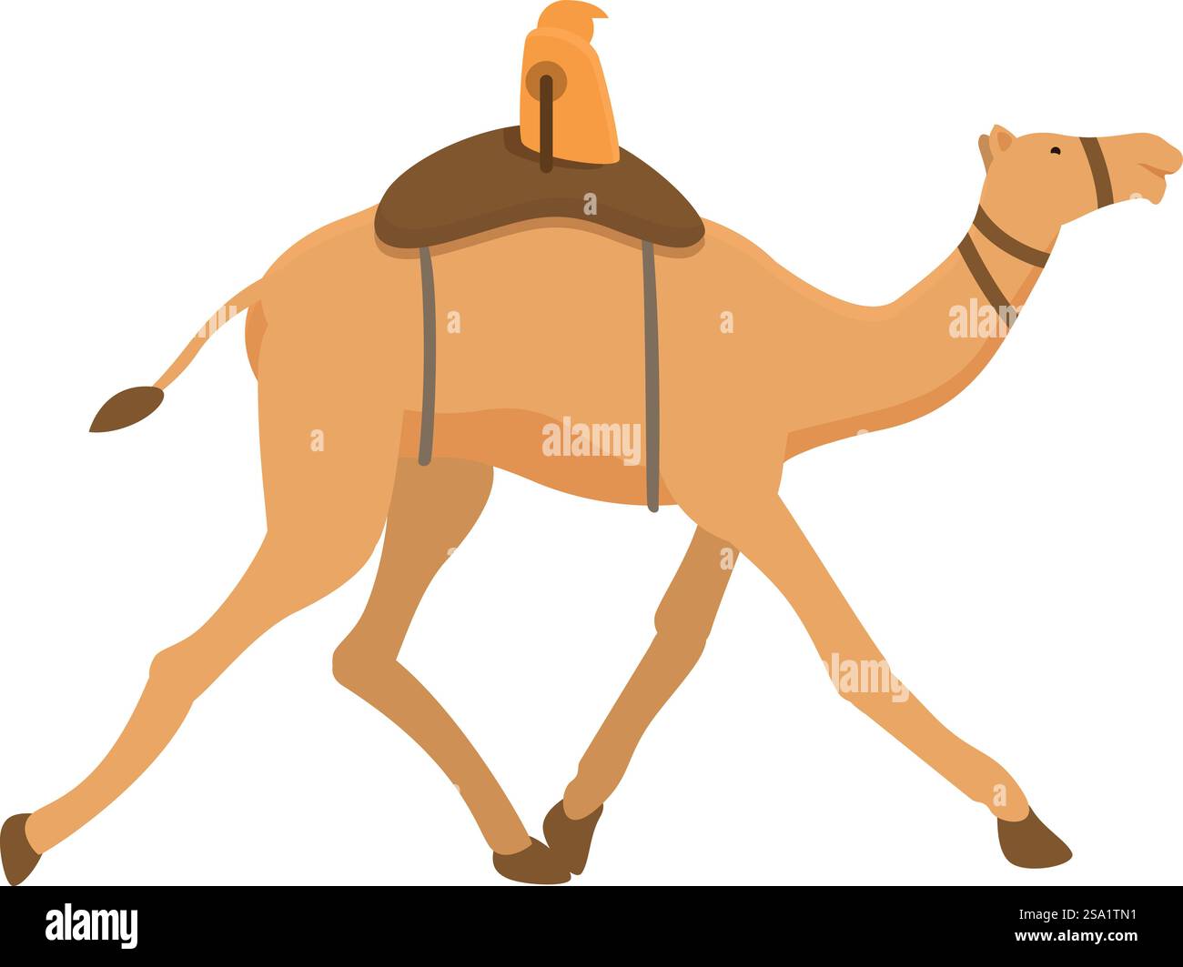 Run camel festival icon cartoon vector. Sport running. Traditional ...