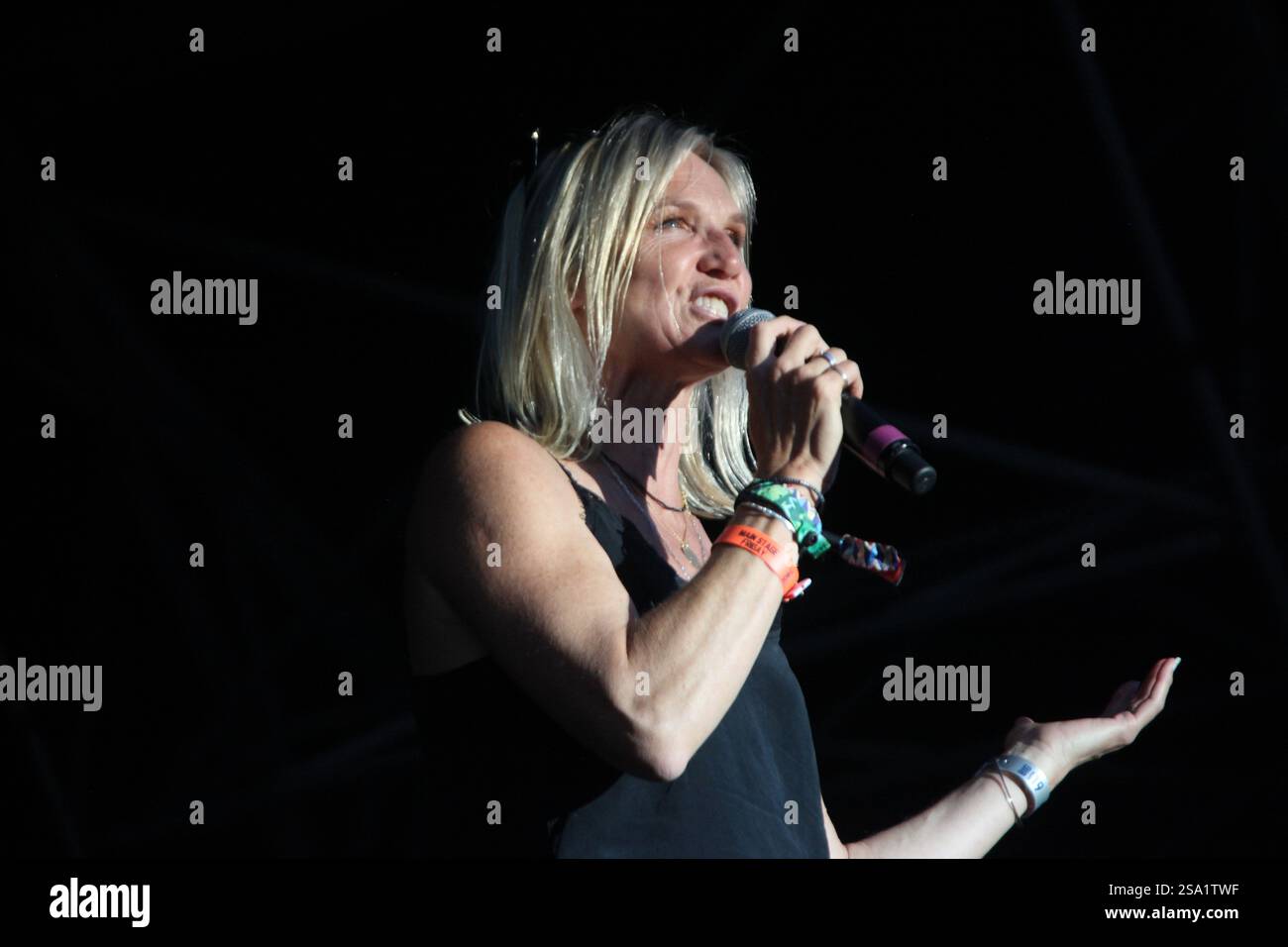 Jo Wiley Performing Live during The Big Feastival, Kingham, Oxfordshire ...