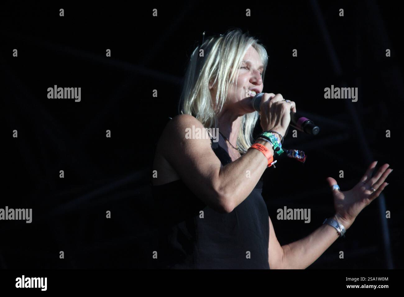 Jo Wiley Performing Live during The Big Feastival, Kingham, Oxfordshire ...