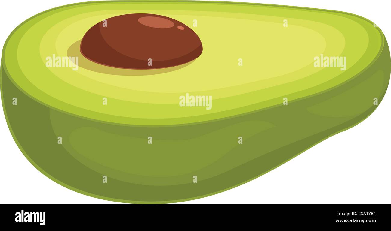 Bali avocado fresh fruit icon cartoon vector. Half cutted product ...