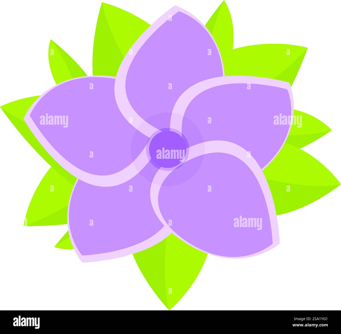 Violet Bali flower icon cartoon vector. Summer nature. Beauty of island ...