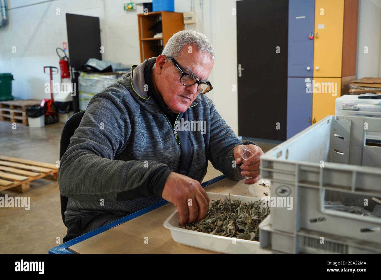 Disabled worker working in the ESAT product packaging workshop ...