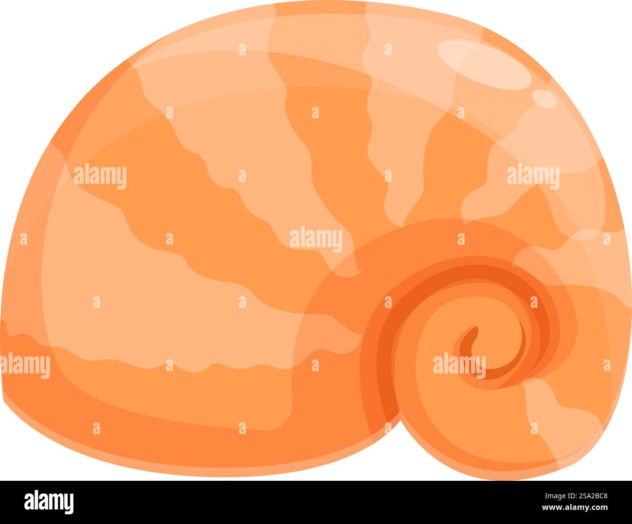 Spiral brown conch icon cartoon vector. Animal marine raw. Shellfish ...