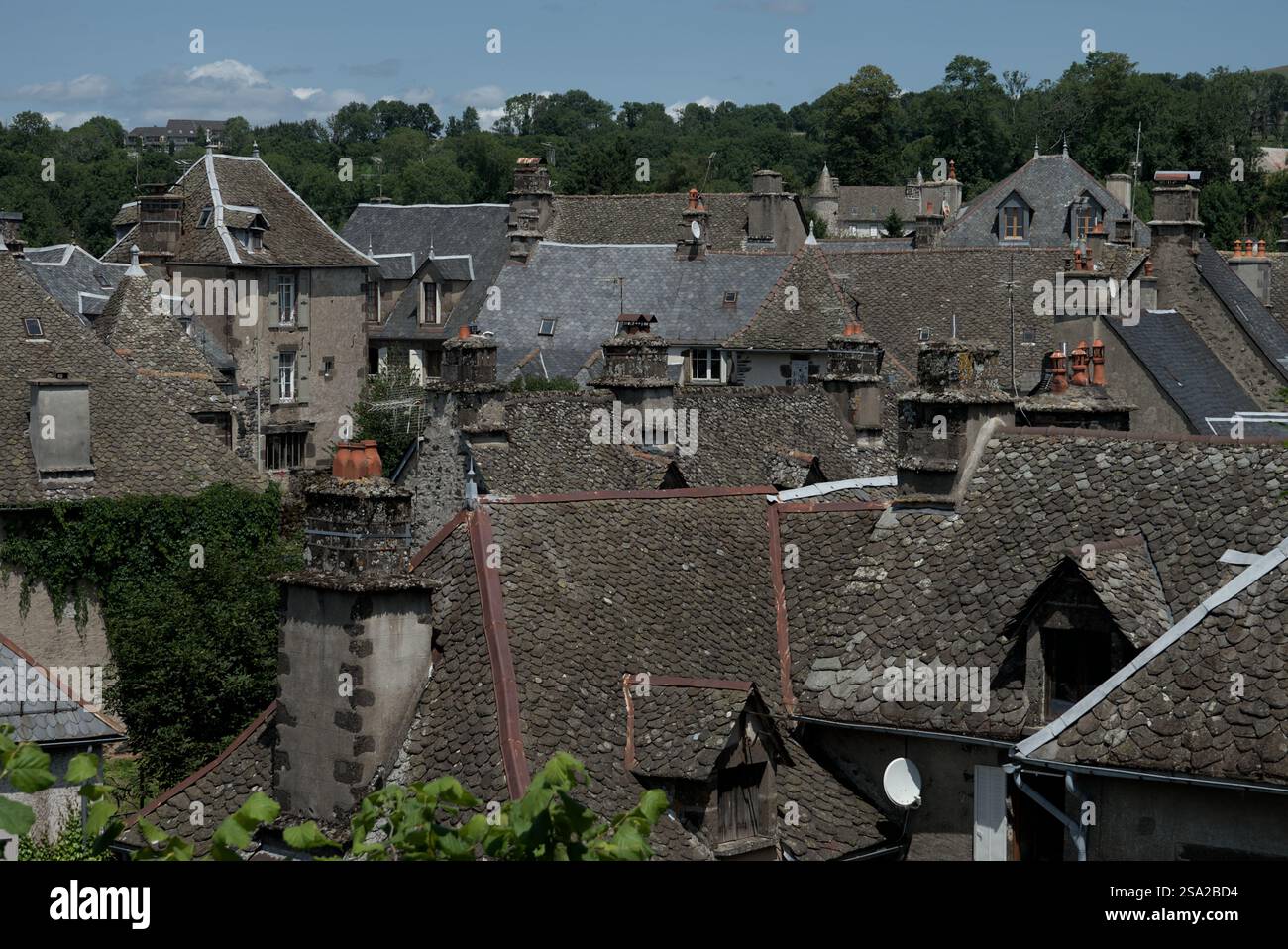 Lauze (slate) roofs in the village of Salers in the Cantal, typical of ...