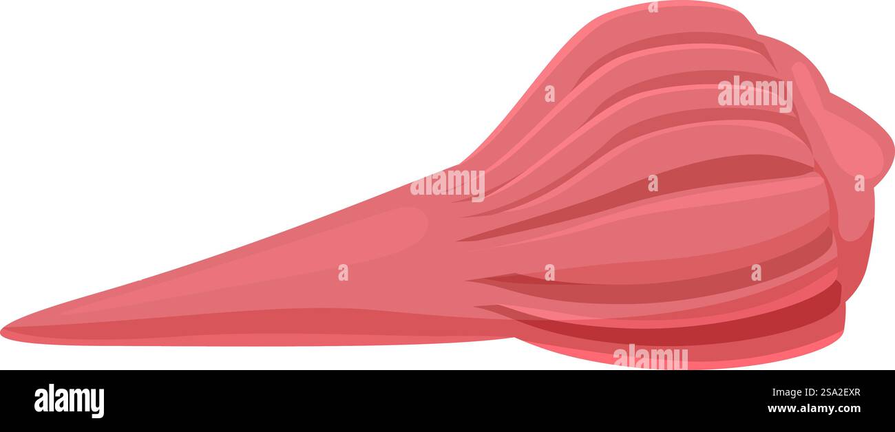 Small conch animal icon cartoon vector. Sea food ingredient. Sea shell ...