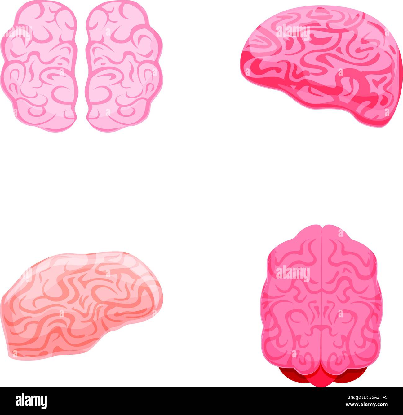 Brain icons set cartoon vector. Left and right hemisphere of human ...