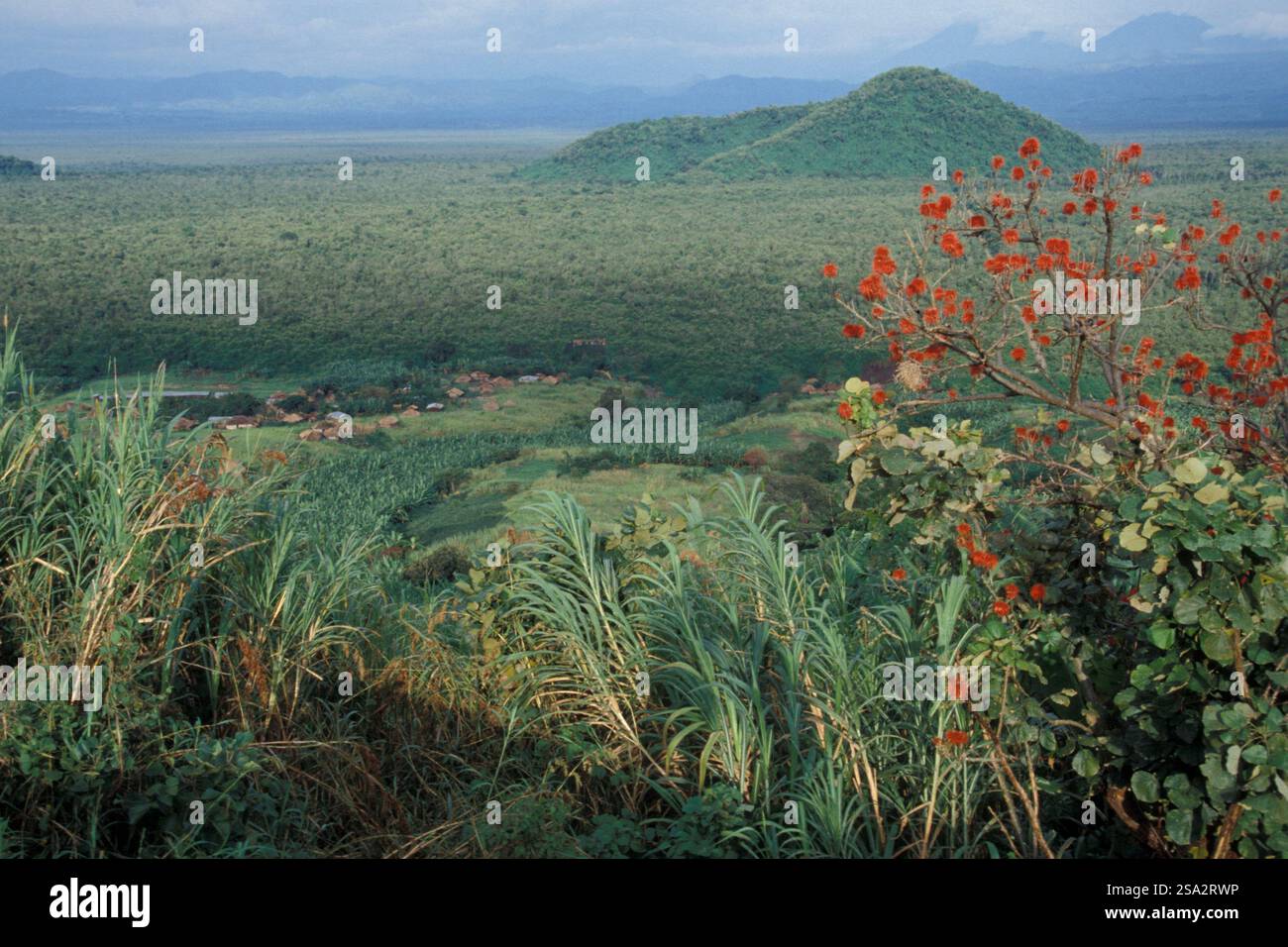 Uganda. Africa. Surrounding Of Kampala Stock Photo - Alamy