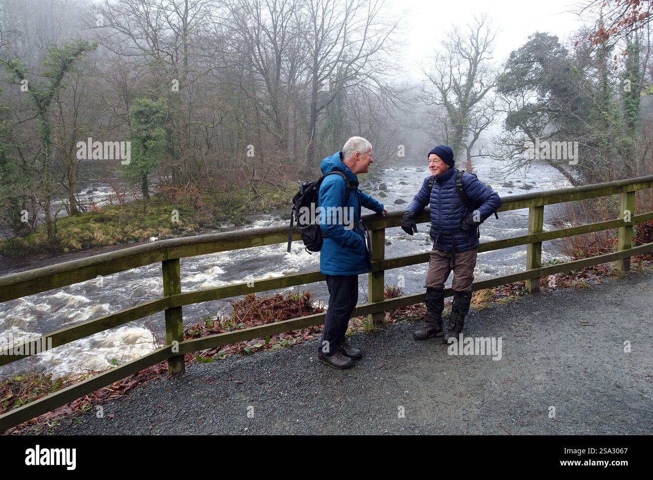Two elderly hikers in woods hi-res stock photography and images - Alamy
