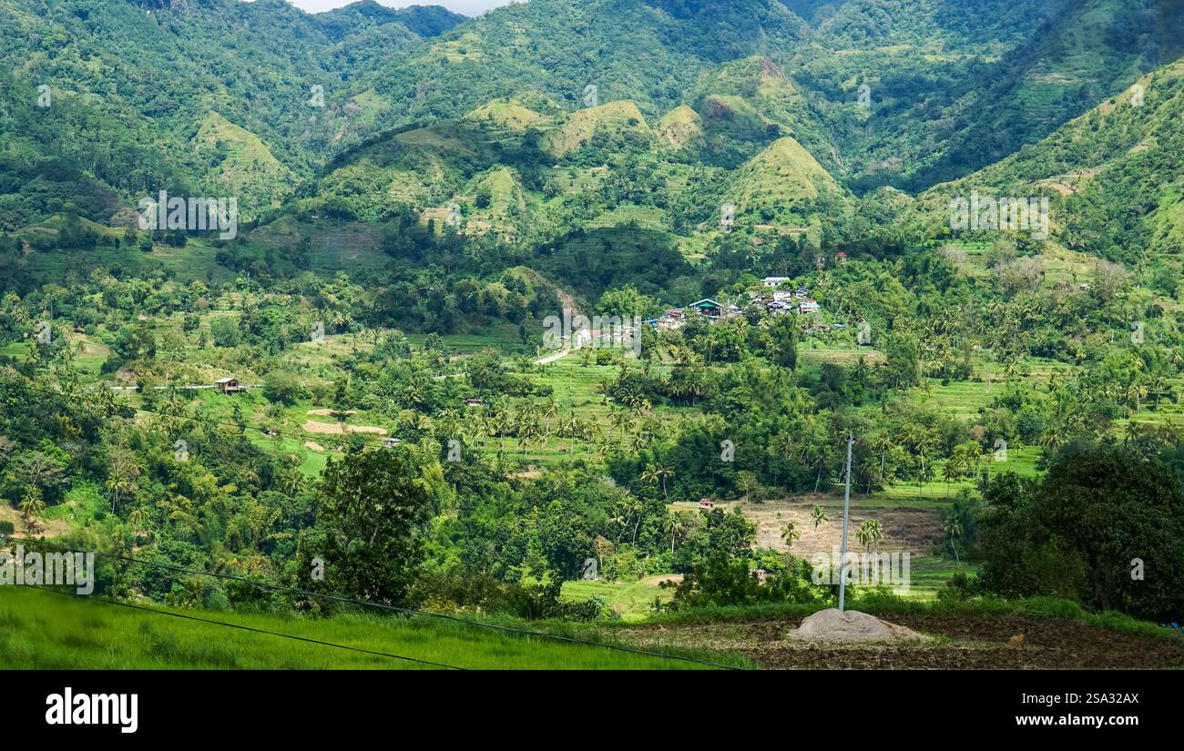 Verdant rice plantations stretch across the rolling mountains of Iloilo ...