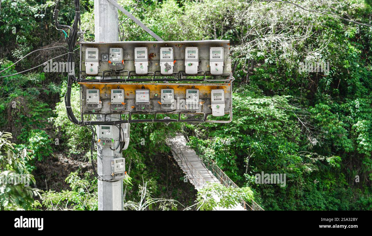 Electricity meters lined up against a backdrop of trees in a ...