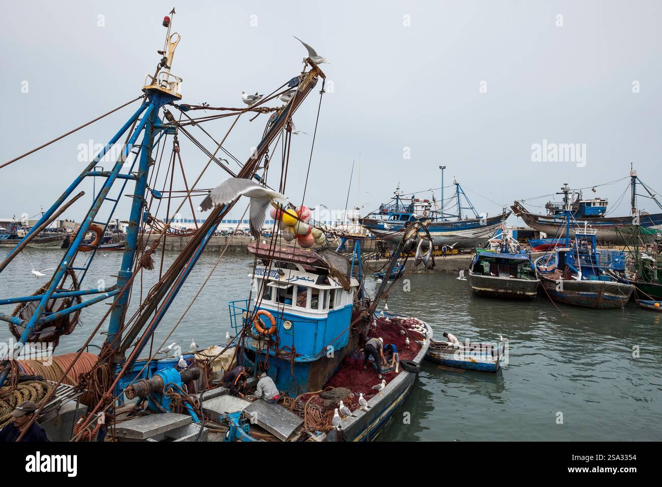 Morocco. Essaouira. Fish Market Stock Photo - Alamy