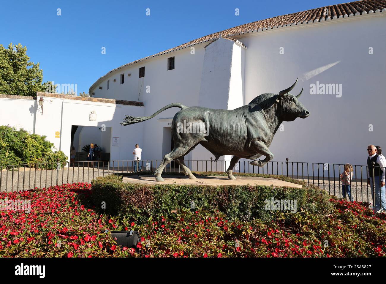 Bull sculpture in front of Bullring Plaza de Toros in the city of Ronda ...