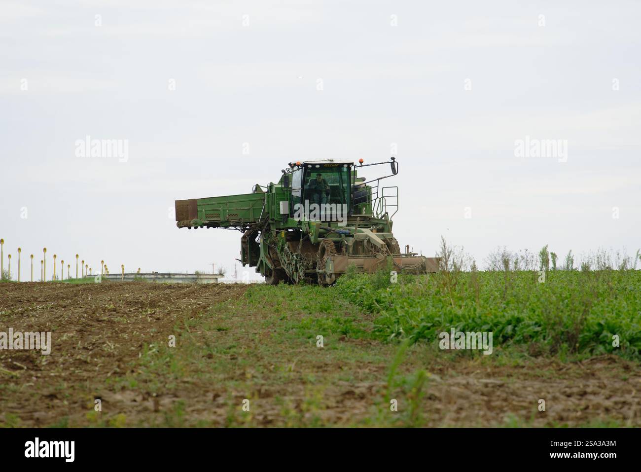Field in Motion: Harvesting Meets Aviation as Plane Approaches Airport ...