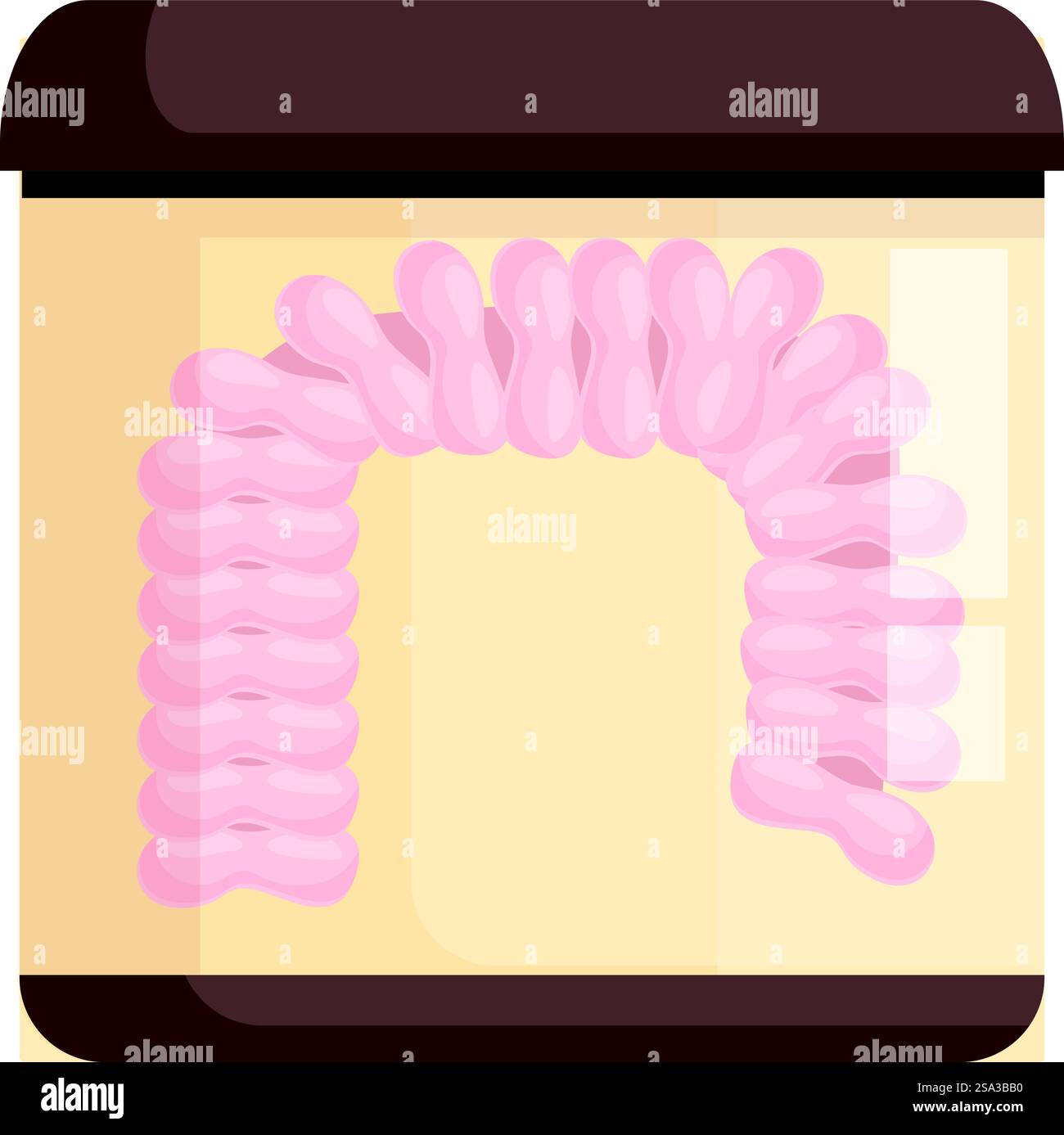 Detailed educational illustration of human intestine anatomy for ...