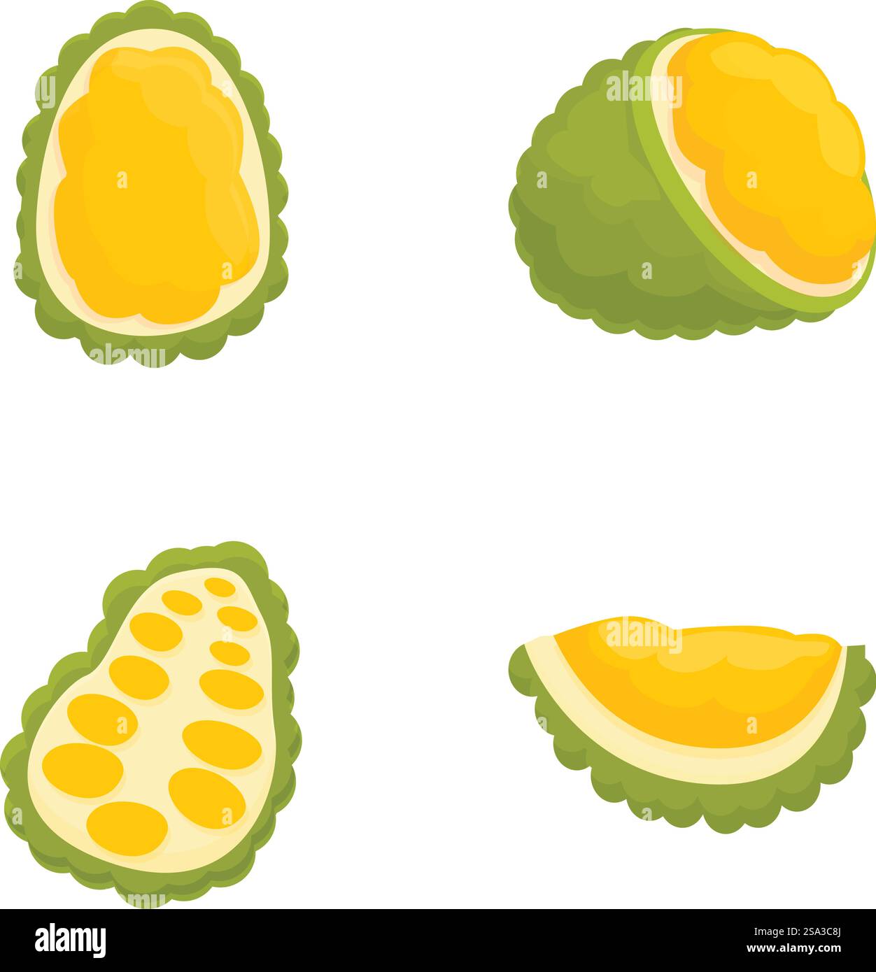 Colorful collection of jackfruit illustrations, depicting whole and ...