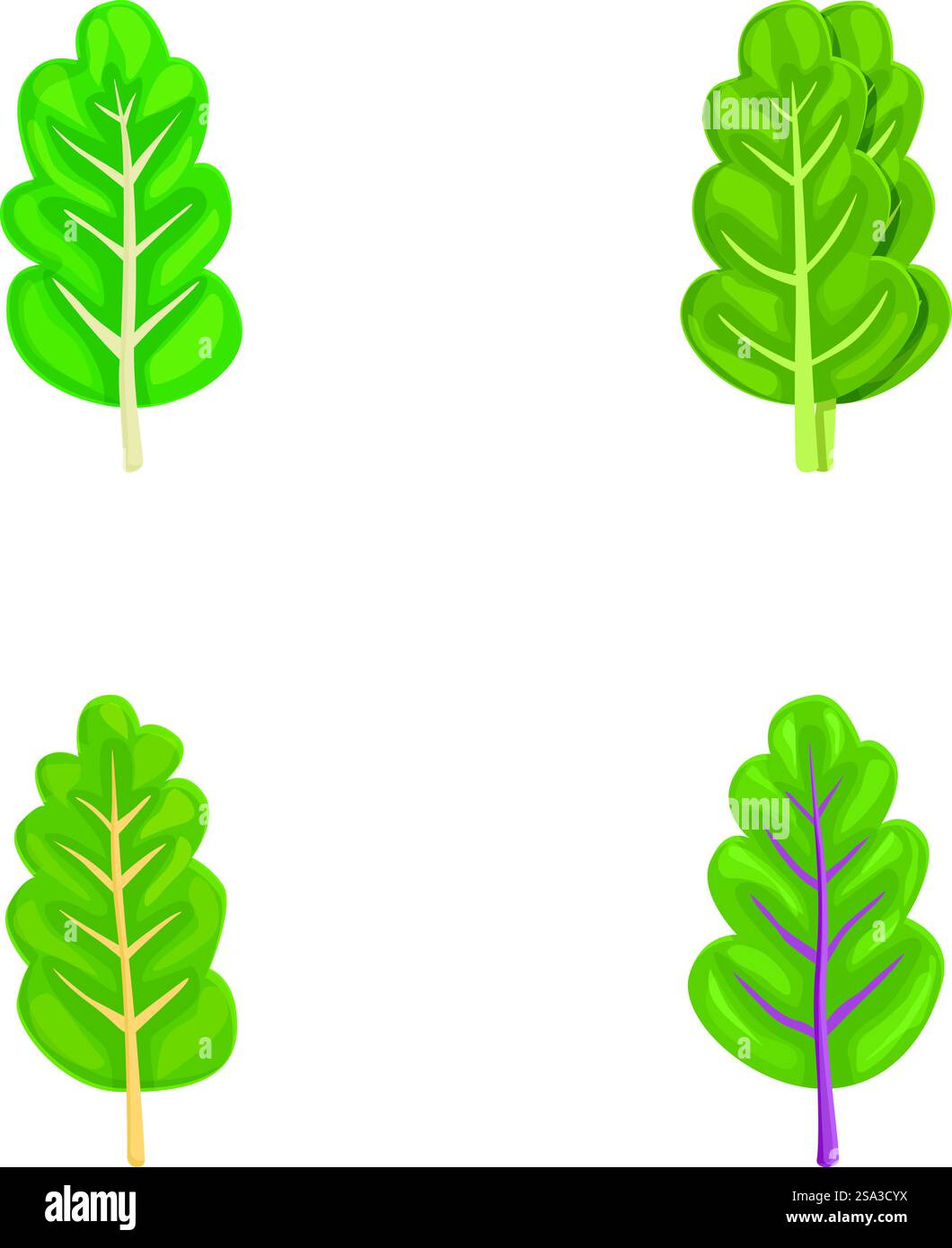 Four variations of vibrant cartoon spinach leaf vectors isolated on a ...