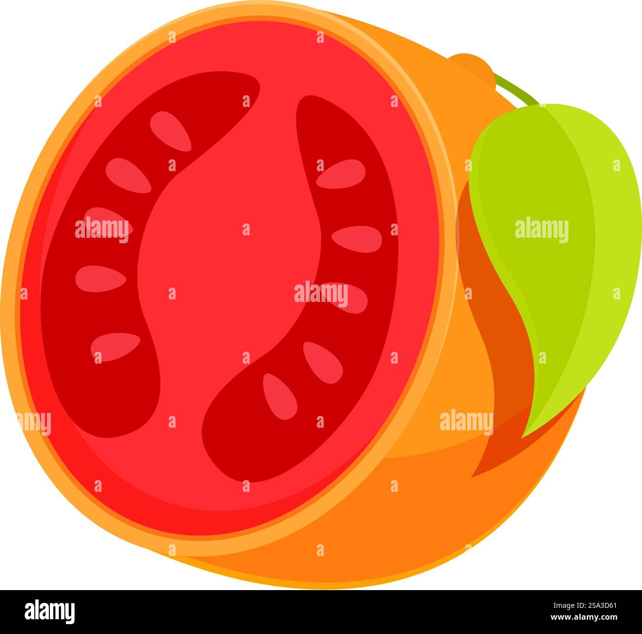 Vibrant and colorful fresh cut tomato illustration in vector graphic hi ...