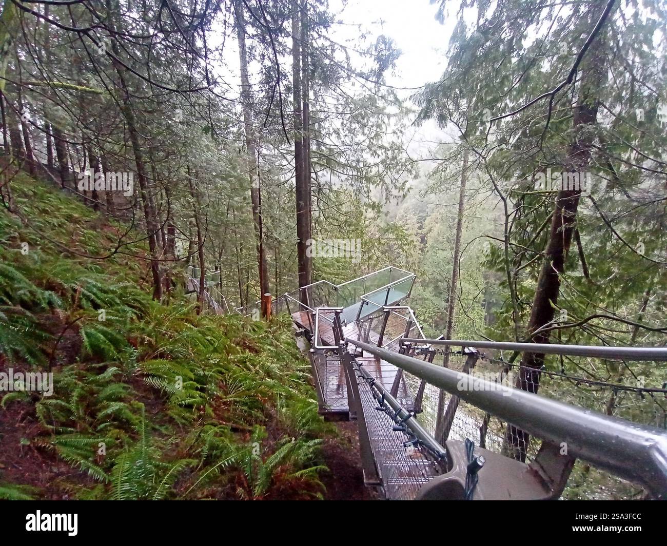 Park with natural beauty, history and activities with a suspension ...