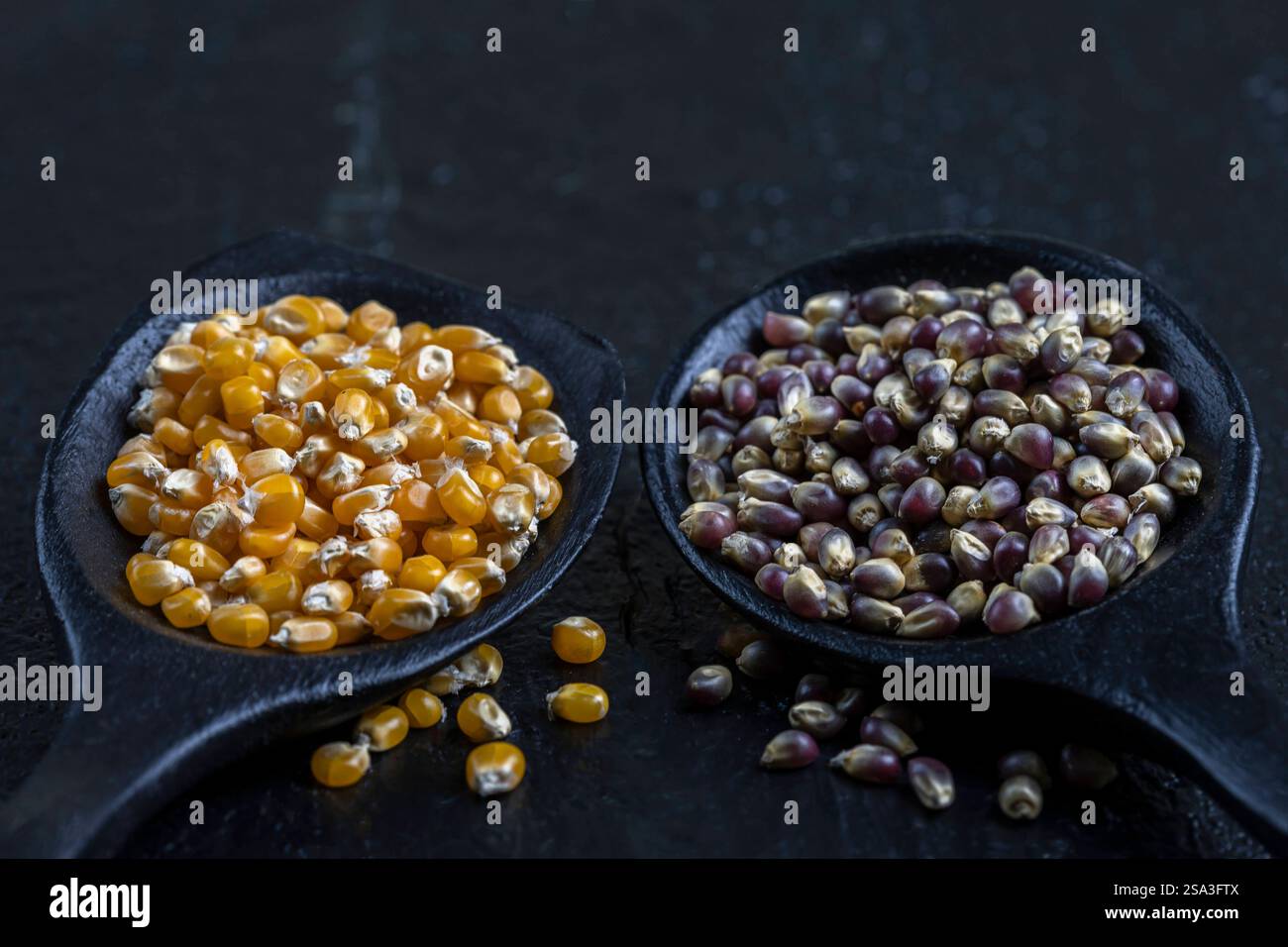 Yellow and blue corn grains. Yellow and blue corn grains 016928 073 ...