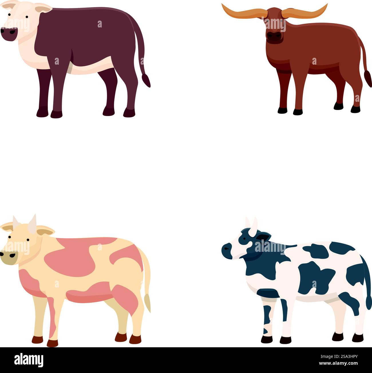 Collection of four cartoon illustrations of different cattle breeds on ...