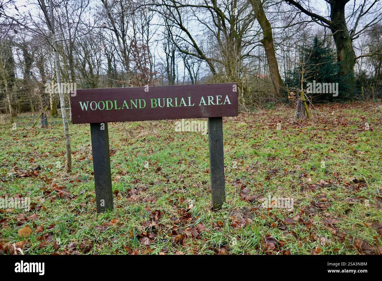 Woodland Burial Area in Thornsett Cemetery Stock Photo - Alamy