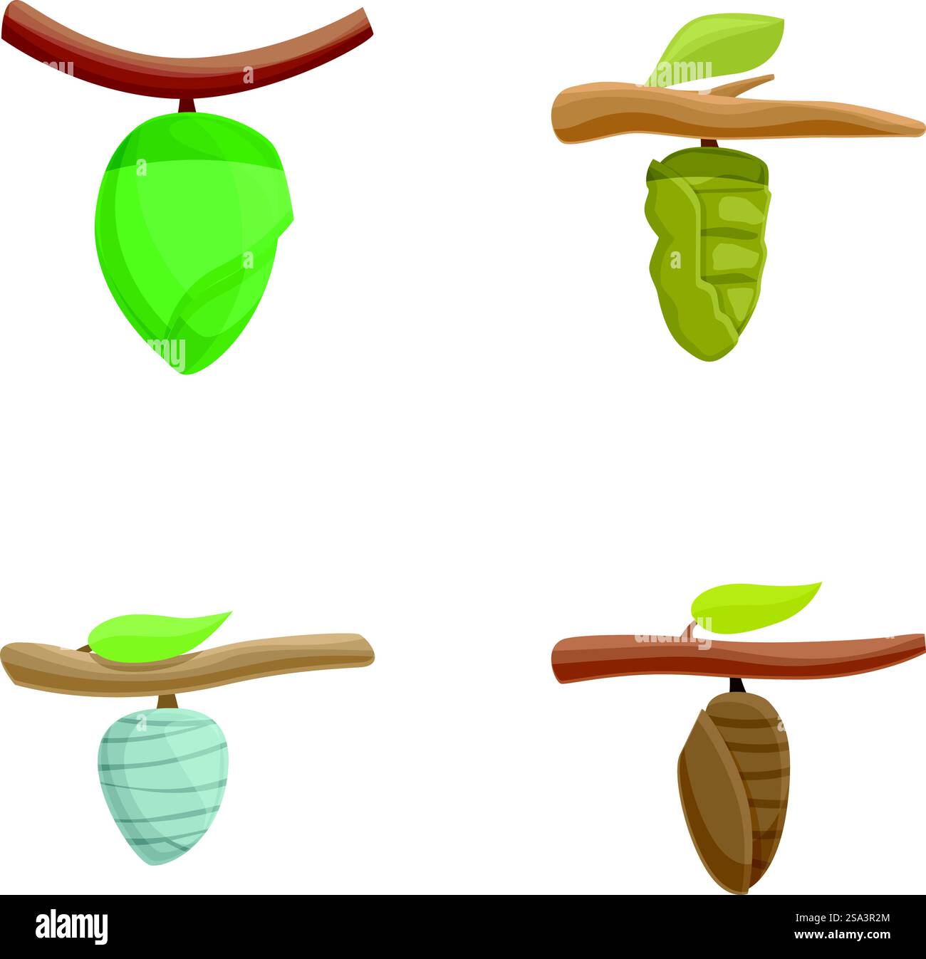 Development lifecycle hi-res stock photography and images - Alamy