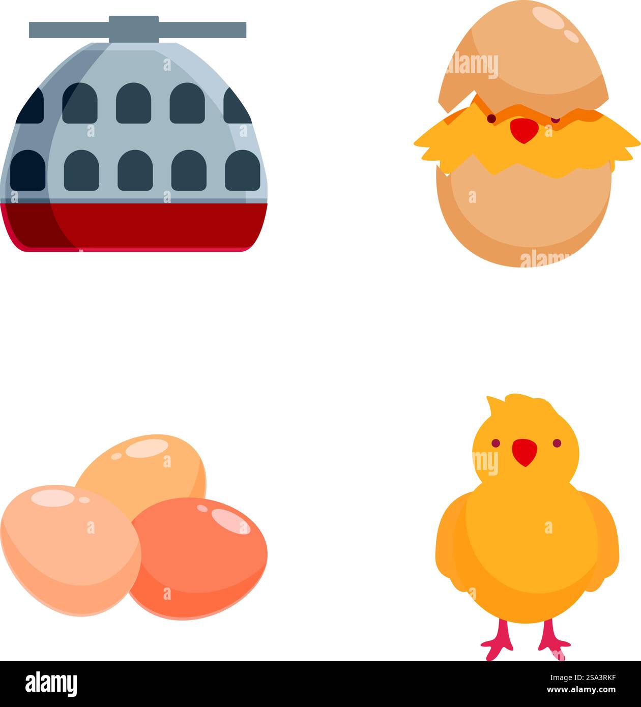 A graphic set depicting stages from eggs to a fully grown chicken ...