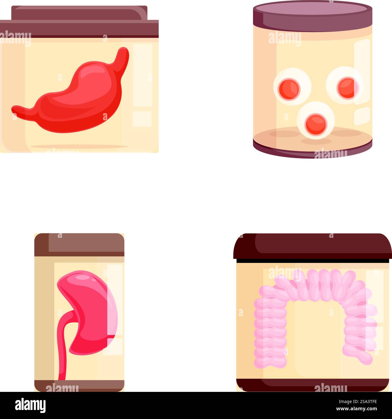 Colorful set of cartoon jars with stylized human organs. Assorted ...