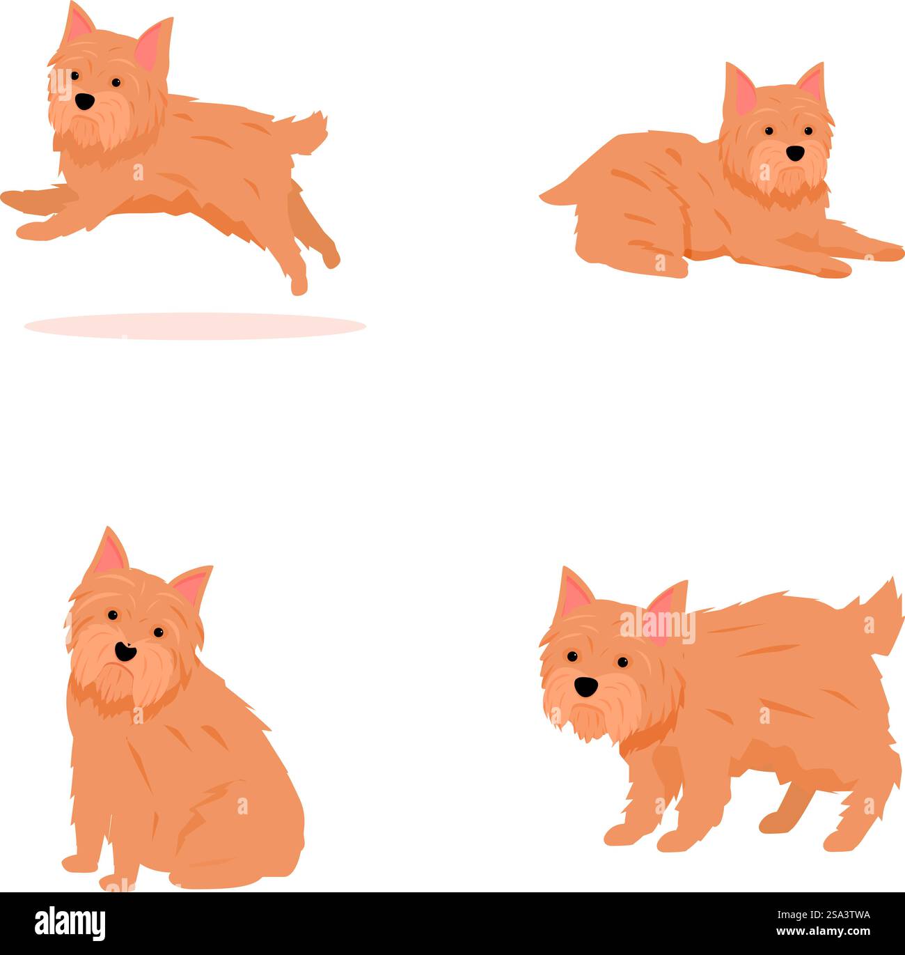 Collection of four cute scottish terrier illustrations, depicting ...