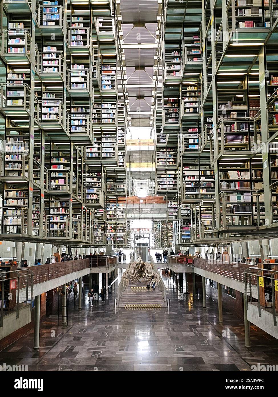 Mexico City, Mexico - Nov 20 2024: Gray whale skeleton in the ...