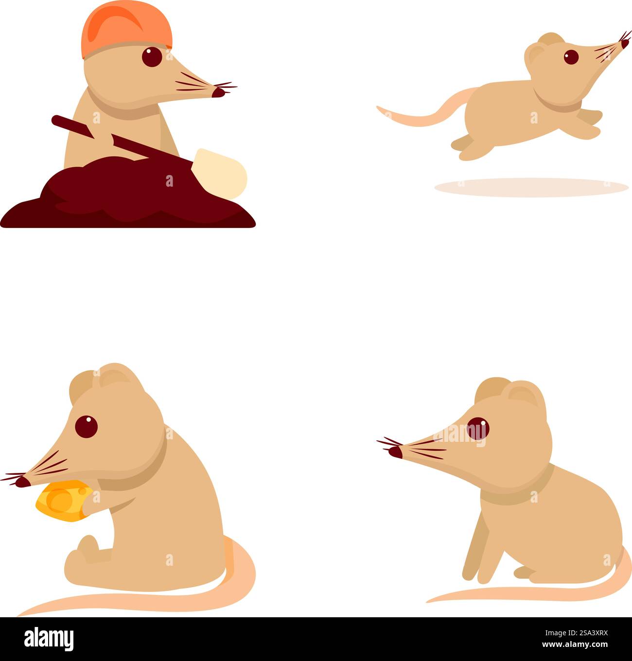 Shrew icons set cartoon vector. Long nose shrew mouse. Rare animal ...
