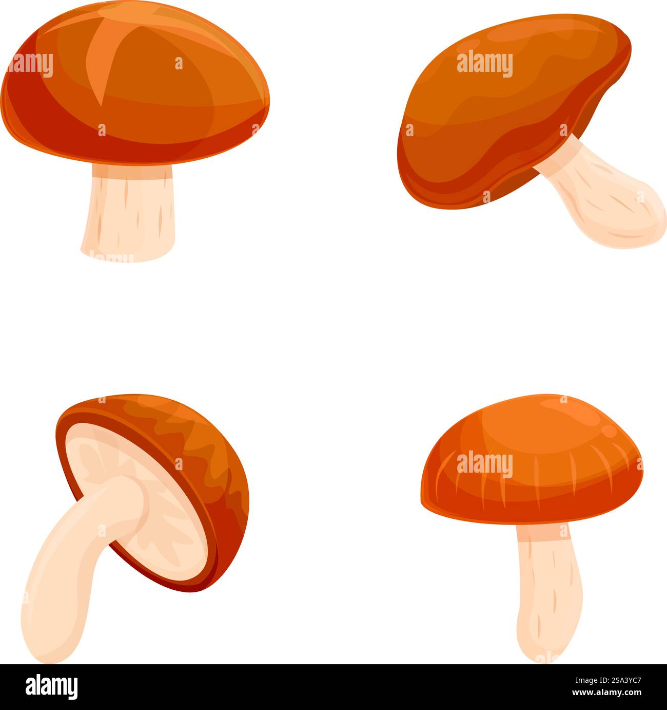 Fungi icons set cartoon vector. Asian shiitake mushroom. Edible mushroom. Fungi icons set ...