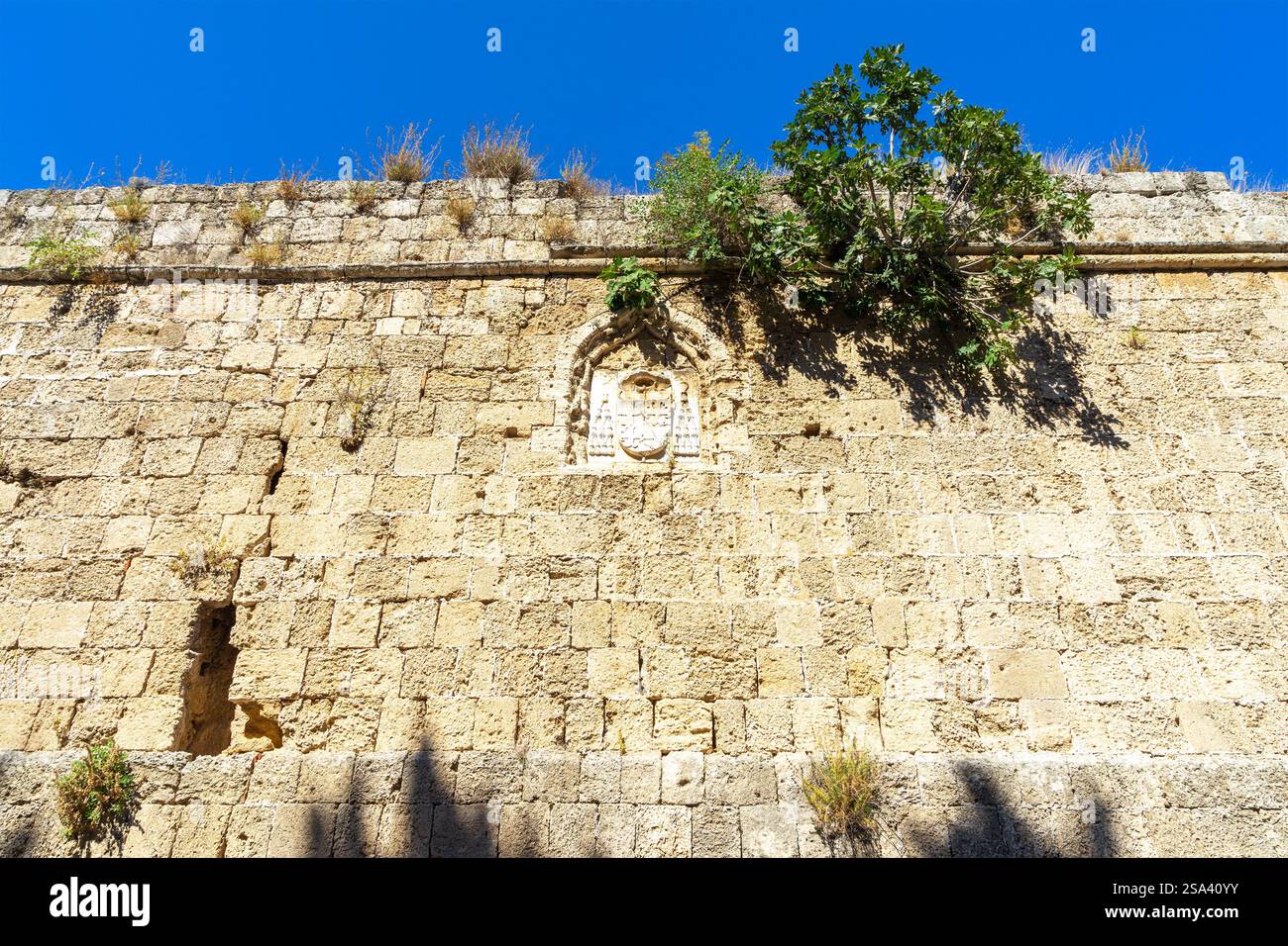 Coat of arms of the Order of Knights of the Hospital or Hospitallers on ...