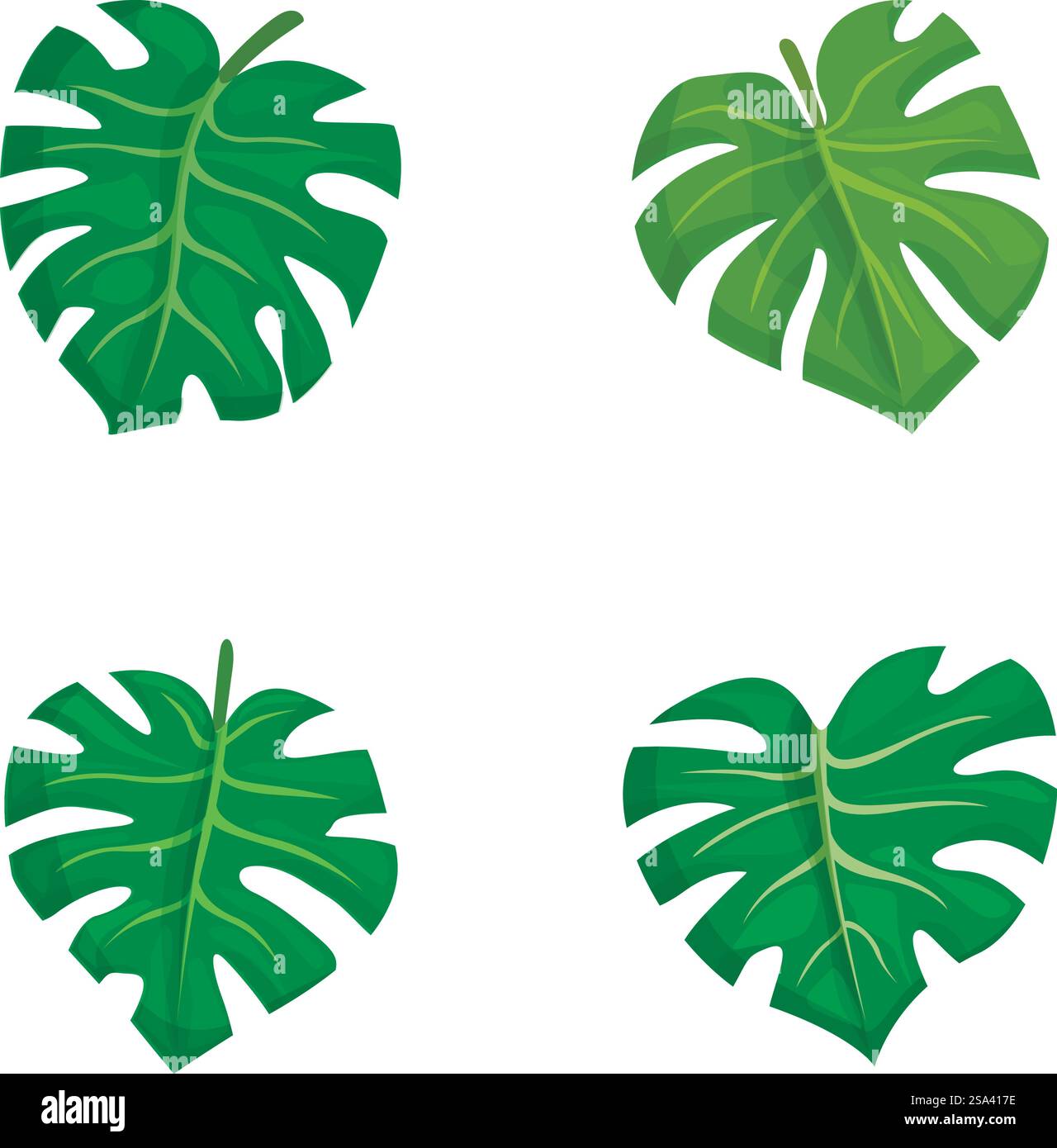 Four distinct vector illustrations of tropical monstera deliciosa leaves in various styles. Set ...
