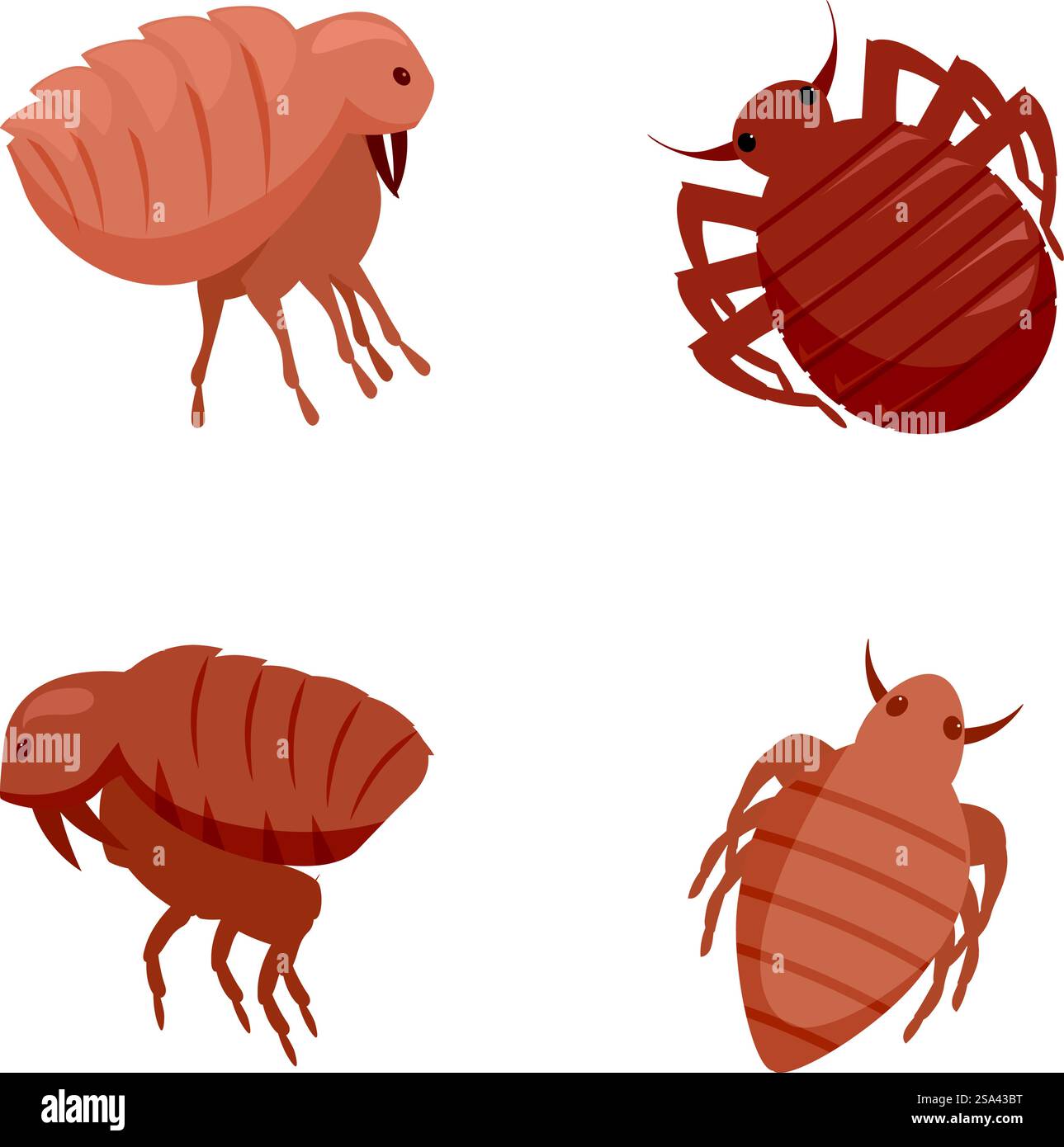 Vector illustrations of cute bed bugs in various poses, isolated on ...