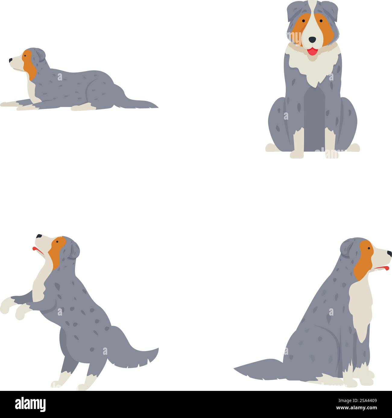 Illustrated australian shepherds showcasing different poses and ...