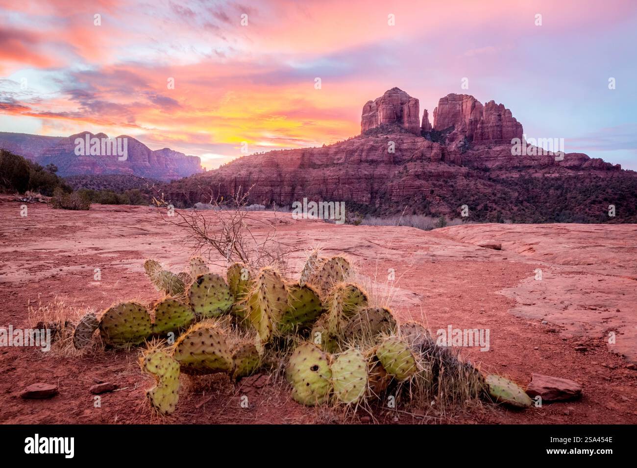 Cathedral Rock glows in the sunset, framed by a vibrant desert ...