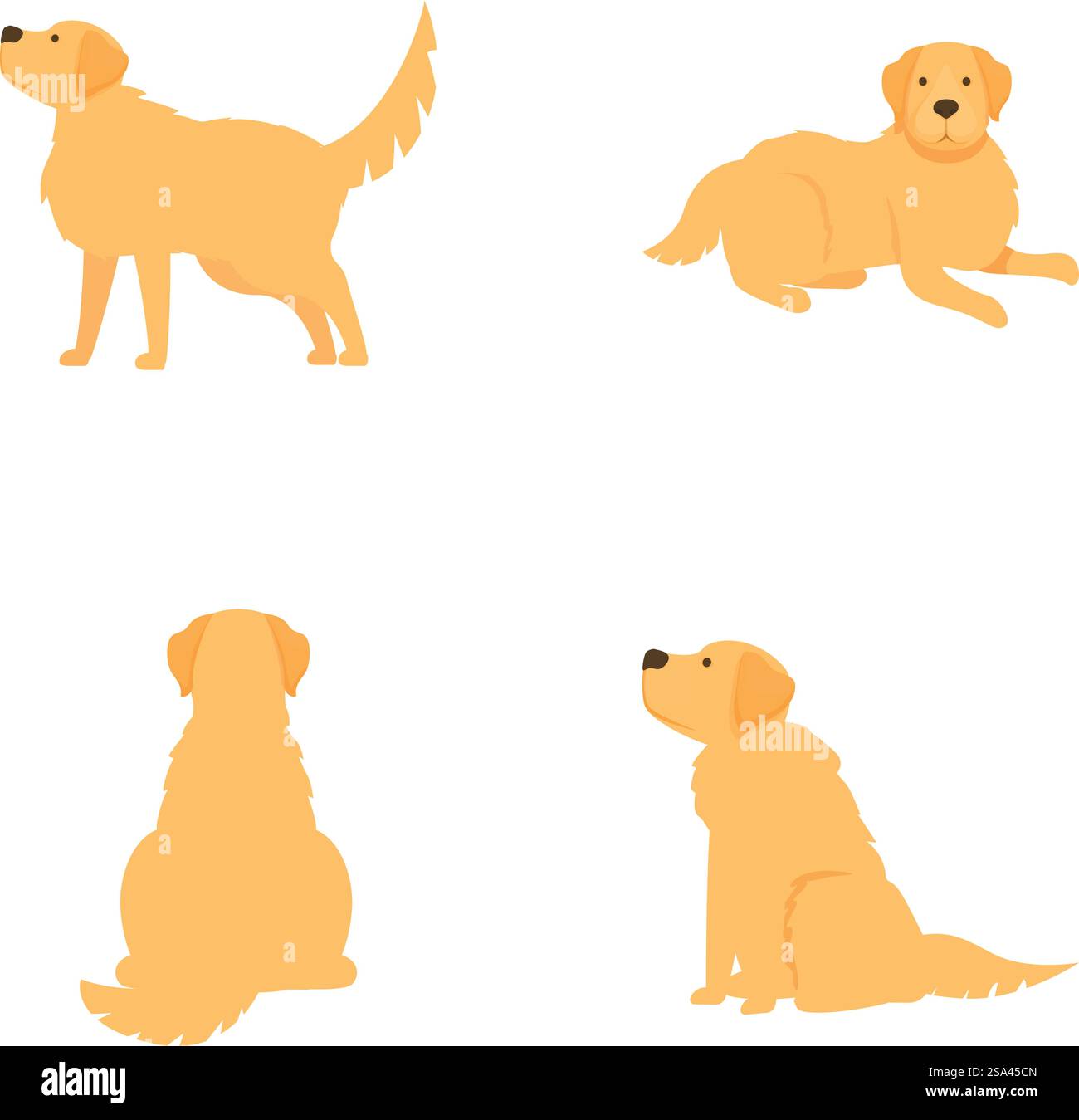 Four vector illustrations of cute labradors in various poses on a white ...