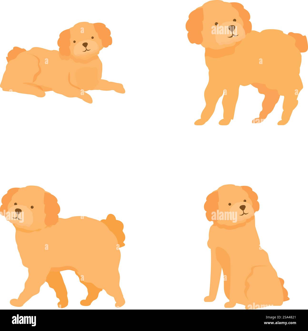 Collection of four adorable illustrated poodles in different poses on a white background. Set of ...