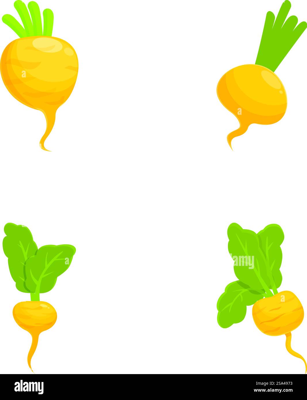 Vibrant set of four root vegetable illustrations isolated on white ...