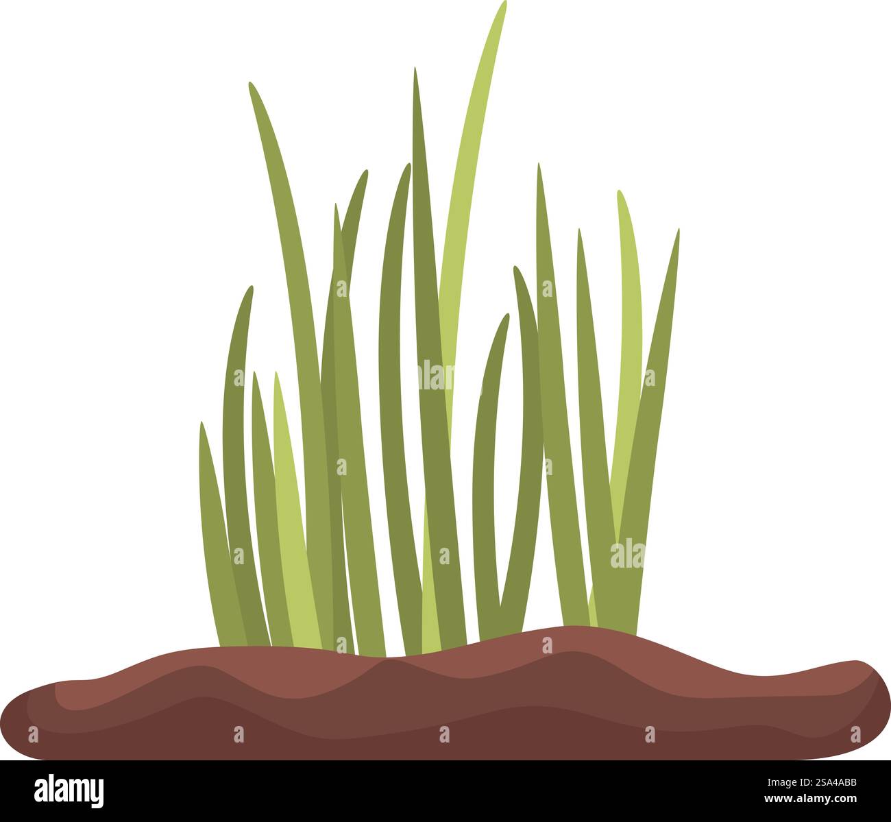 Illustration of green grass growing from the ground, isolated on white ...