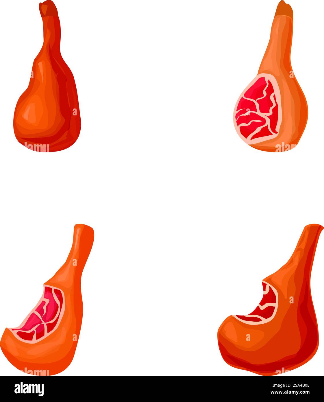 Set of four illustrated lamb leg cuts isolated on a white background ...